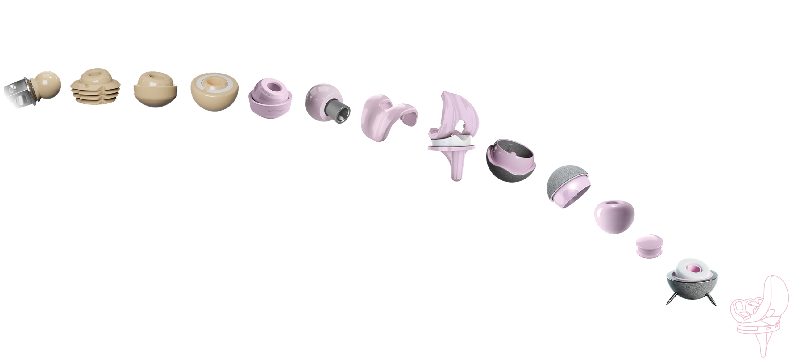 BIOLOX®delta a benchmark in modern ceramic joint replacement