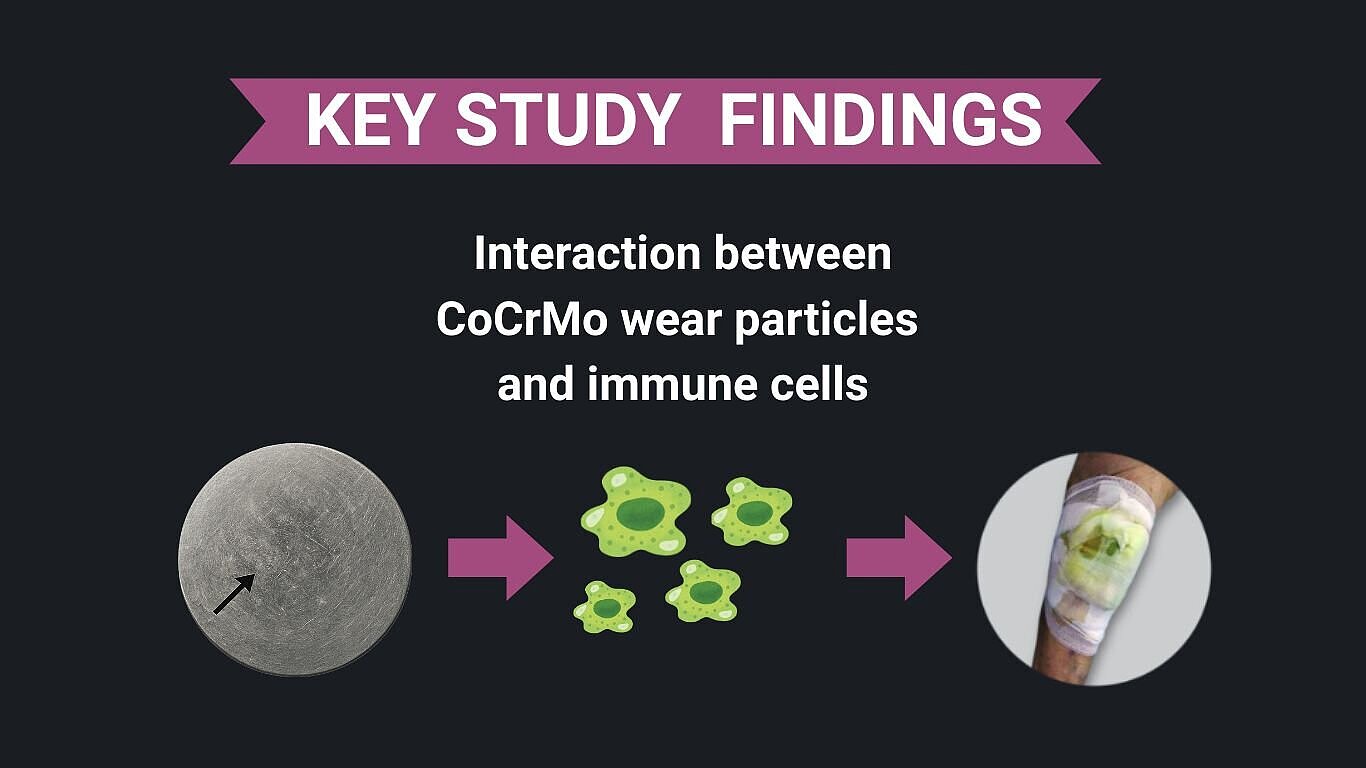 How does cobalt-chromium-molybdenum (CoCrMo) wear contribute to ...