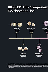 BIOLOX®delta setzt Maßstäbe im modernen keramischen Gelenkersatz
