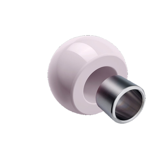 BIOLOX® Bio Ceramic CeramTec-Medical