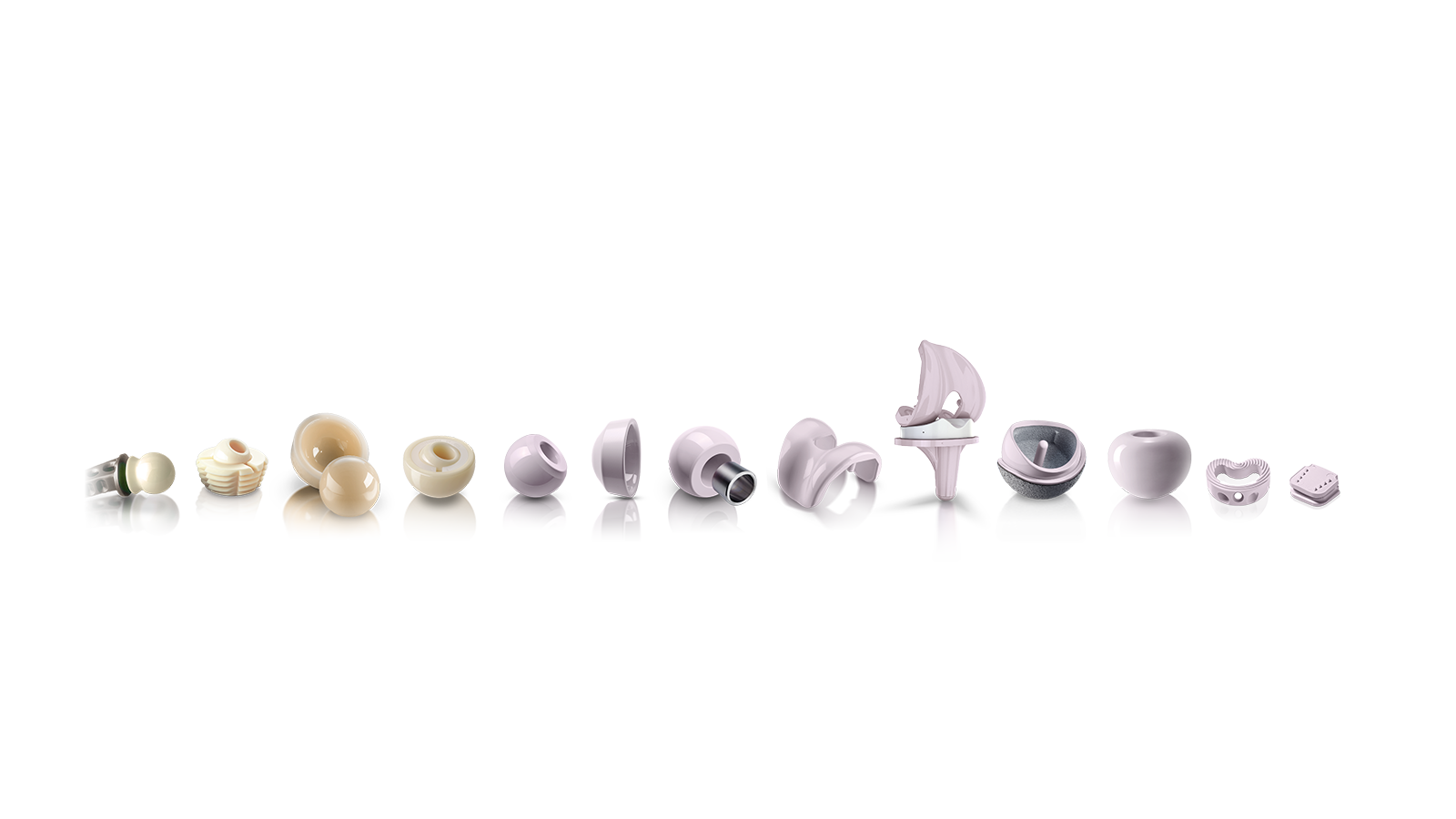 BIOLOX® Bio Ceramic CeramTec-Medical